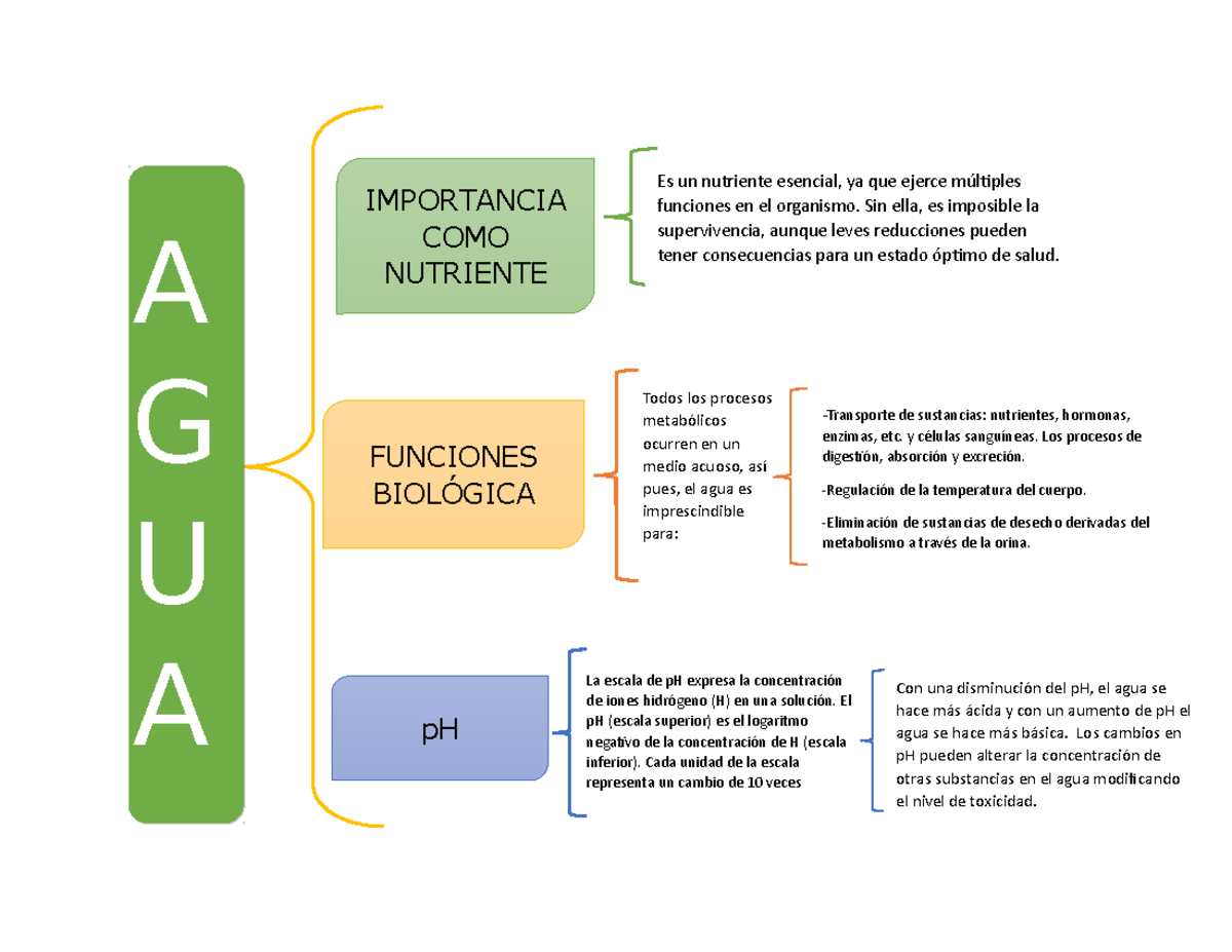 Cuadro sinóptico Importancia del agua Isabella Alban Rivera - Con una ...