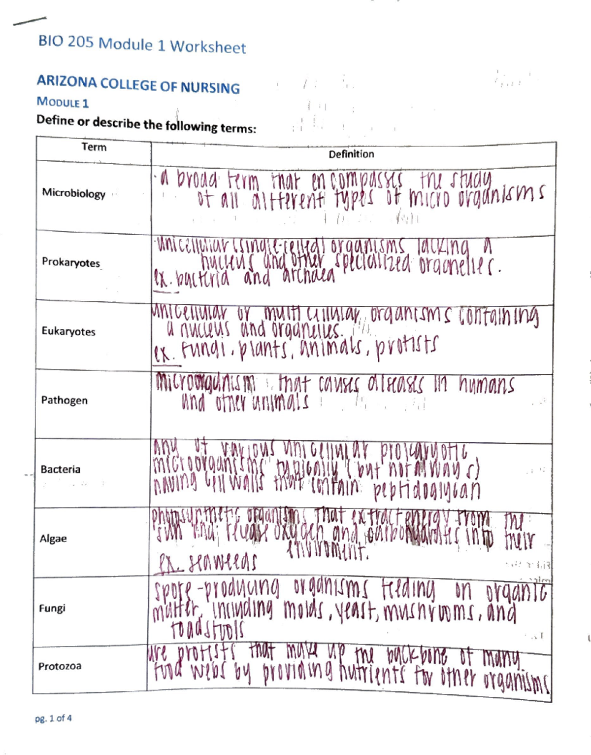 Microbiology module 1 worksheet - BIO 205 - Studocu
