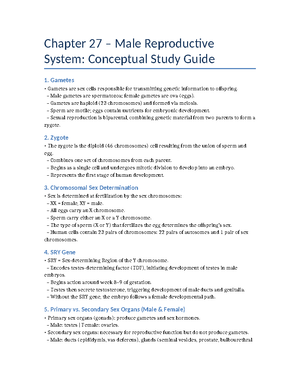 Comprehensive Overview of the Female Reproductive System (BIO 101 ...