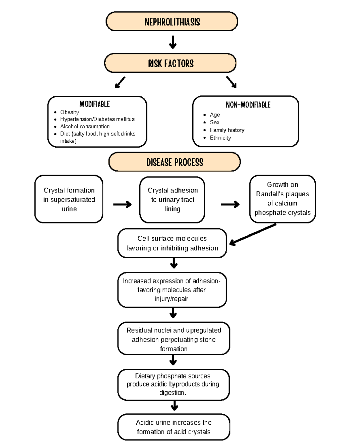 Nephrolithiasis Pathophysiology: Risk Factors & Disease Process - Studocu