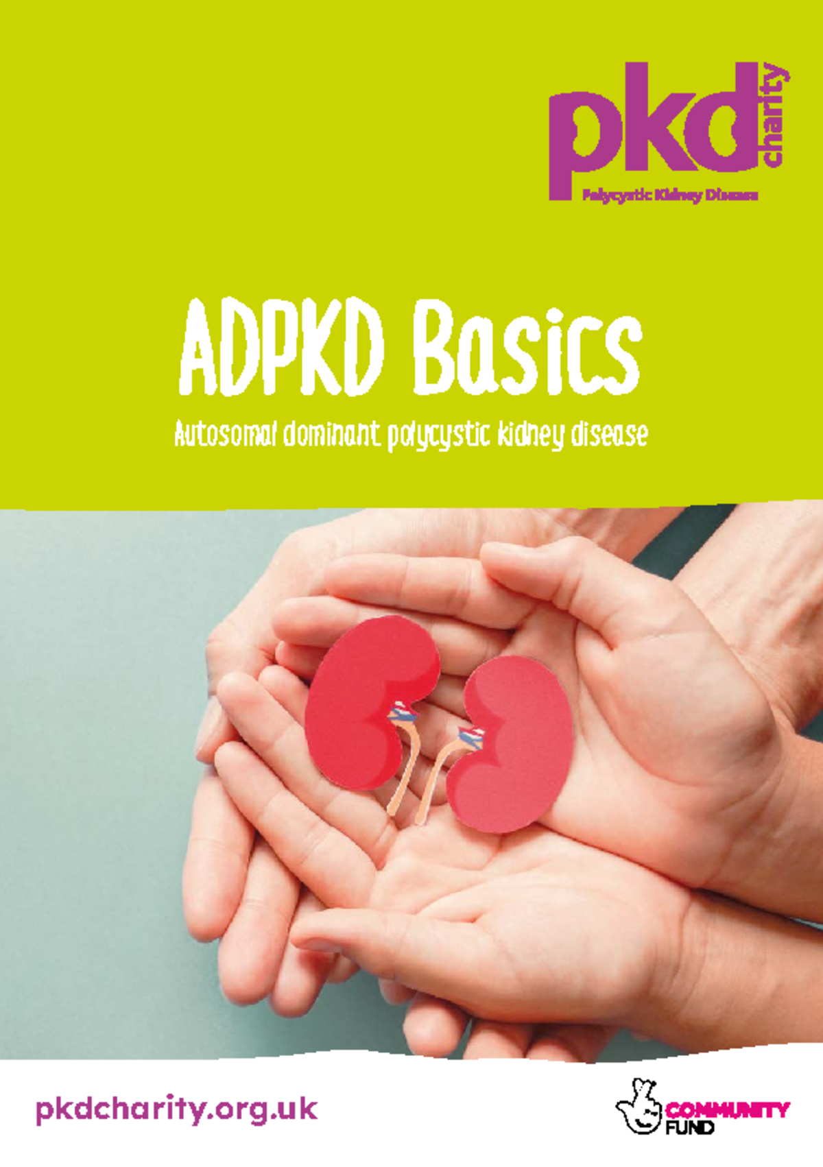 ADPKD Basics: Understanding Autosomal Dominant Polycystic Kidney ...