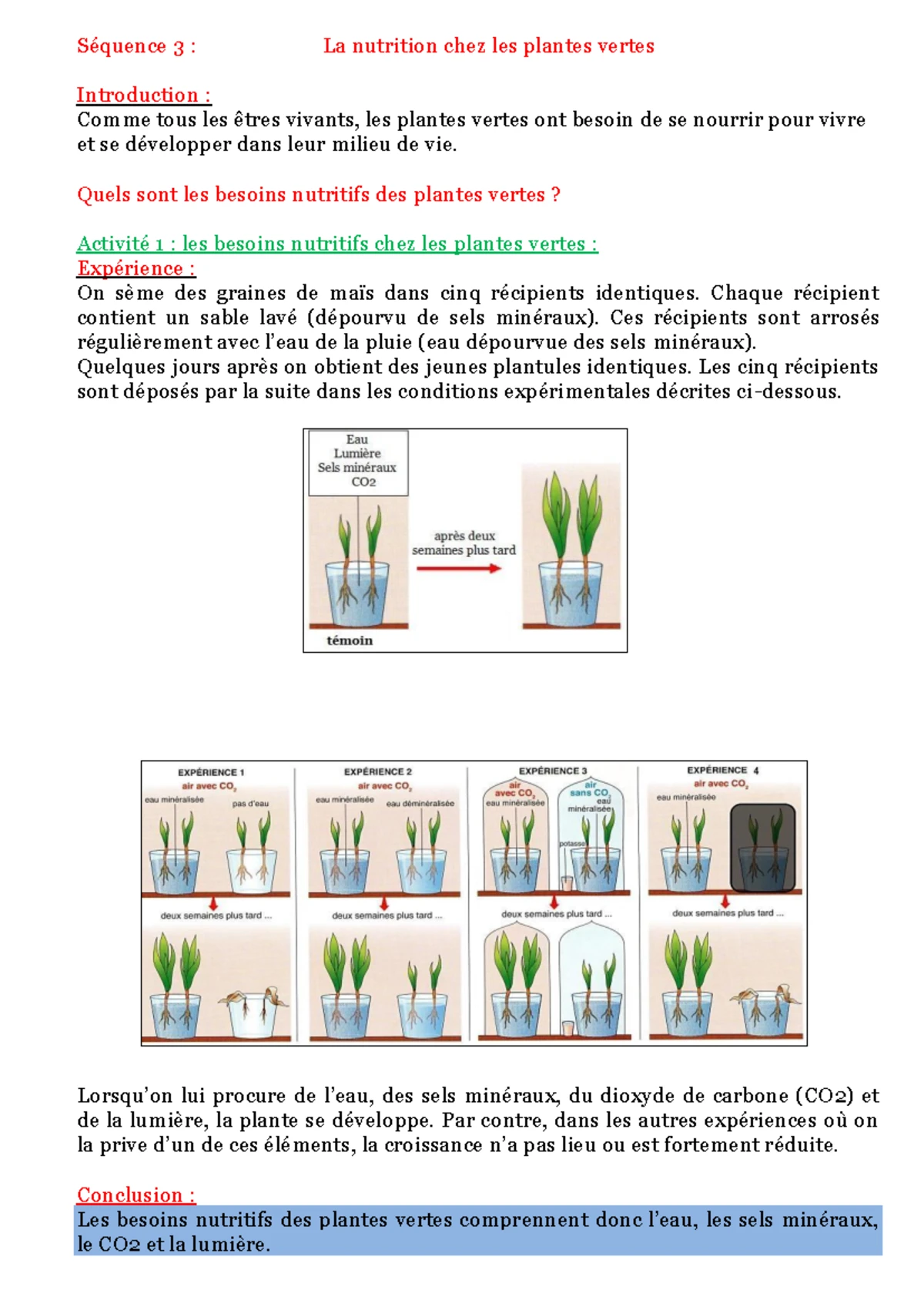 L alimentation chez les etres vivants - Première Unité : les relations ...