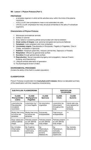 Anatomy of a Frog - Anatomical Terms, Planes and Axes Anatomical Terms ...