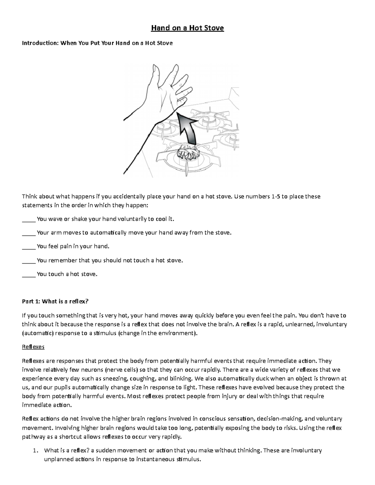 Understanding Reflexes: Hand on a Hot Stove - Online Study Notes - Studocu