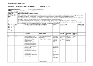 [Solved] Lesson plan grade R the theme seasons Exploring summer 1 ...