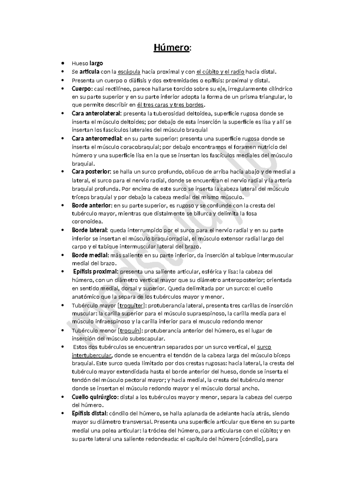 Anatomía del Húmero y Radio: Estructura y Funciones (Locomotor anato A ...
