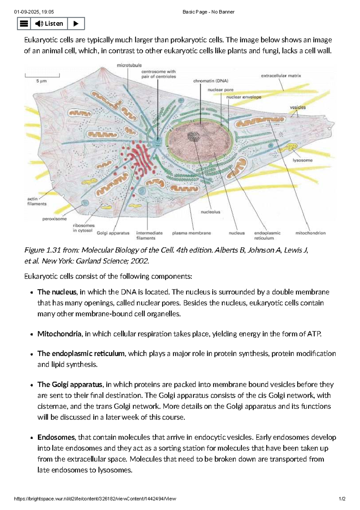 19:05 Lecture Notes: Cellular Organization in Eukaryotes - Intro to ...