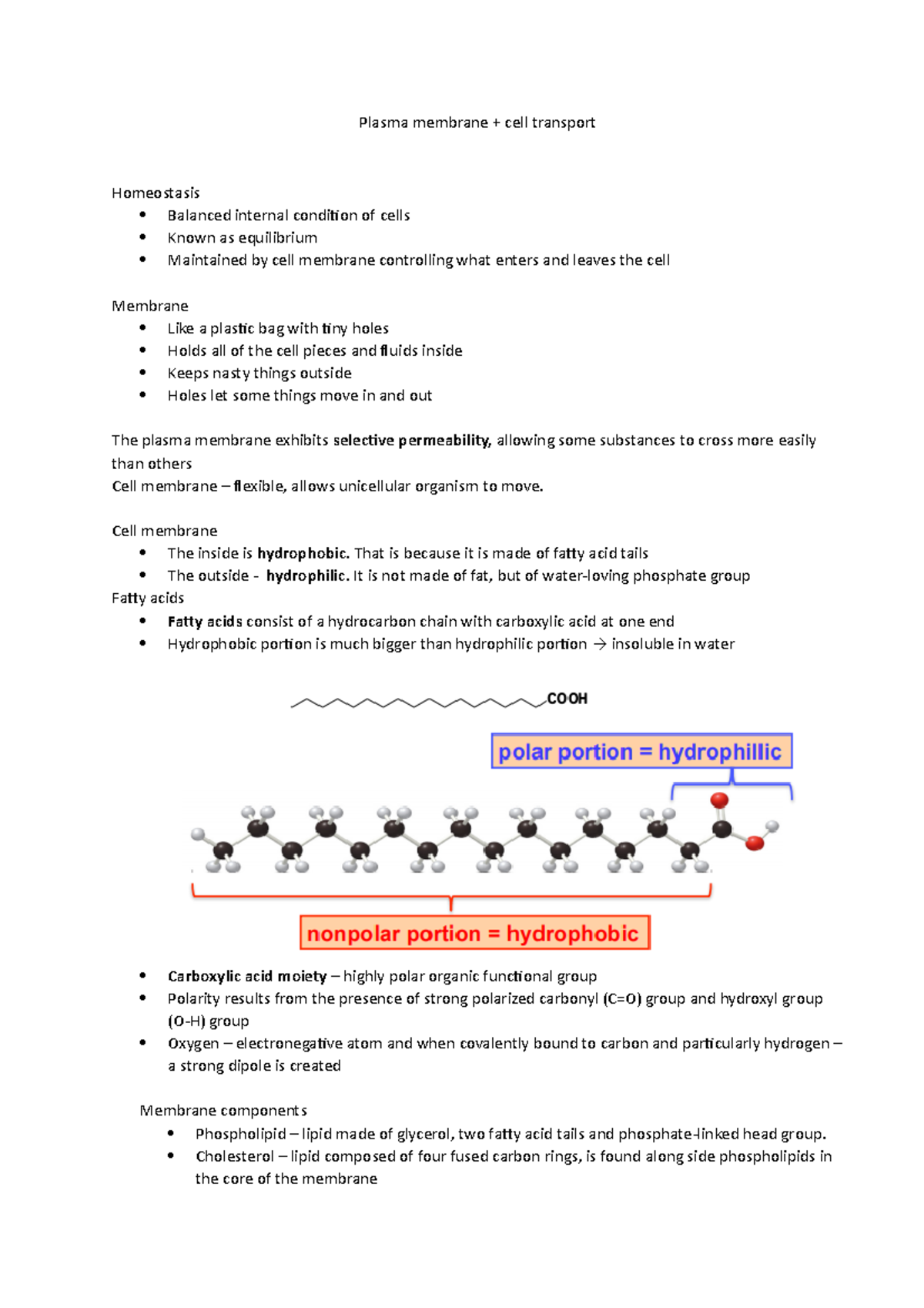 Plasma Membrane & Cell Transport: Key Concepts and Processes - Studocu
