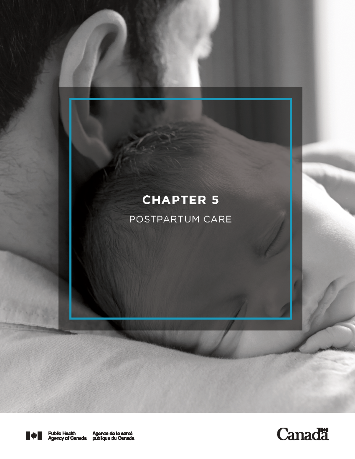 CHAPTER 5: POSTPARTUM CARE IN CANADA - NATIONAL GUIDELINES - Studocu