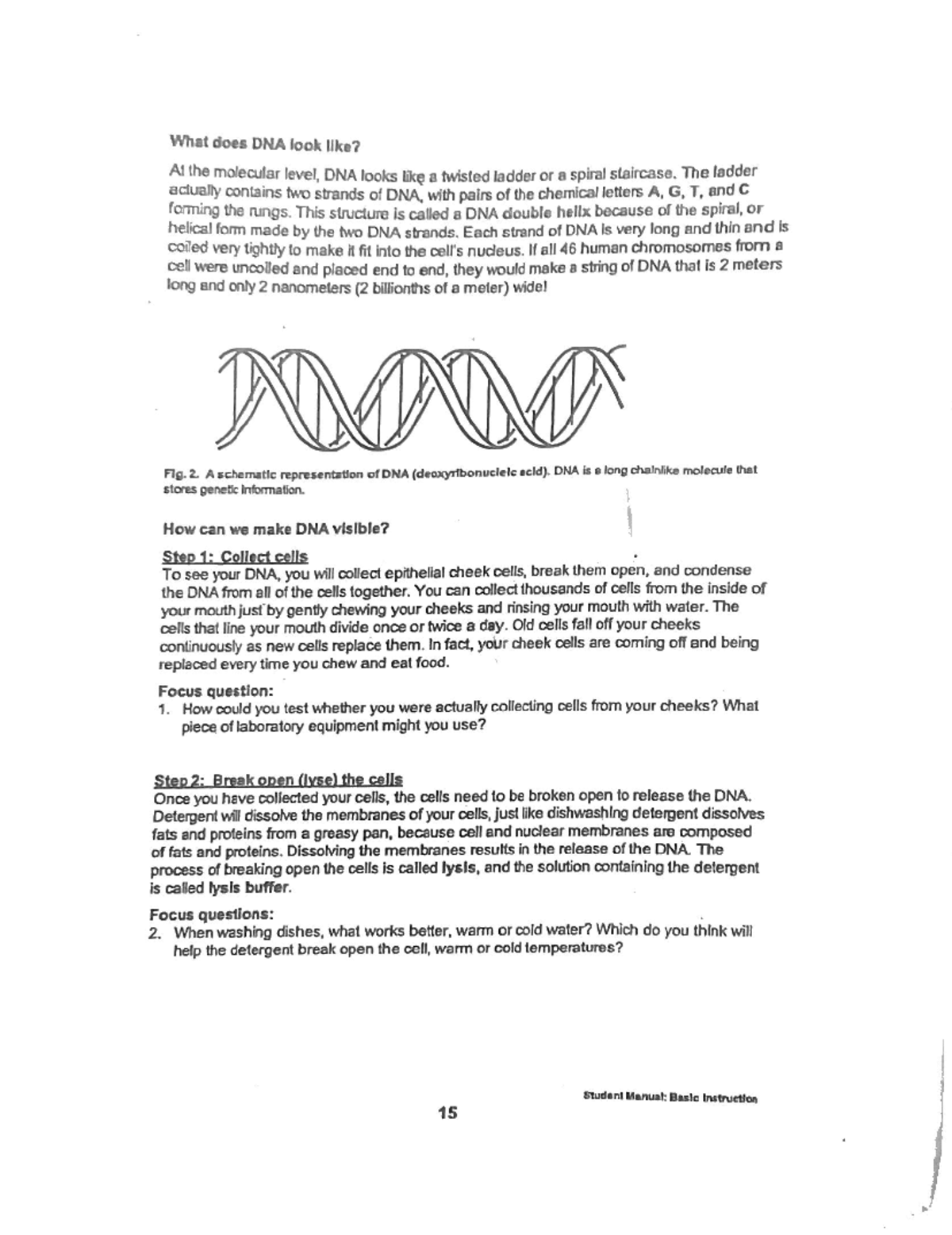 DNA Extraction Lab Manual: Step-by-Step Guide for Students - Studocu