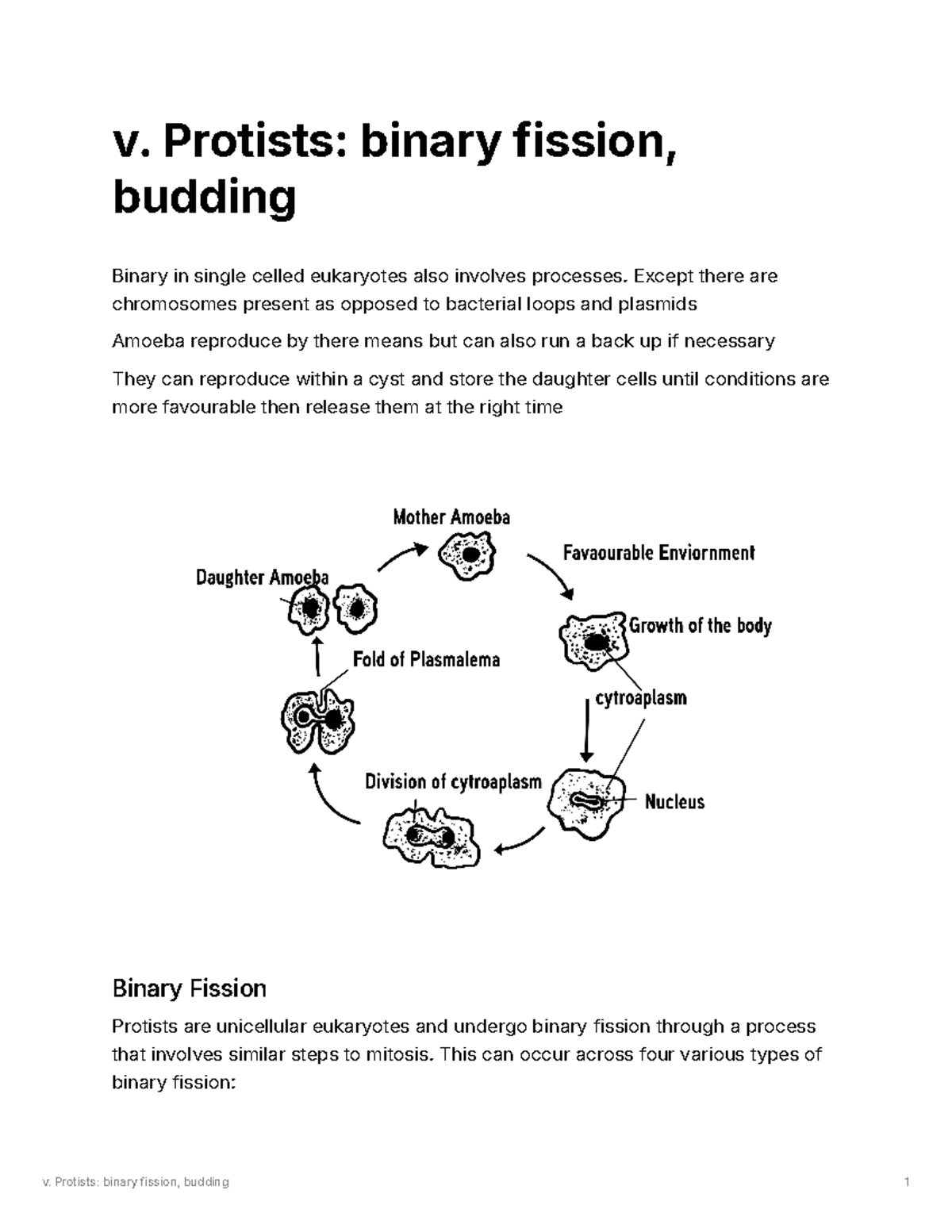 Module 5: Protists - Binary Fission & Budding Overview - Studocu
