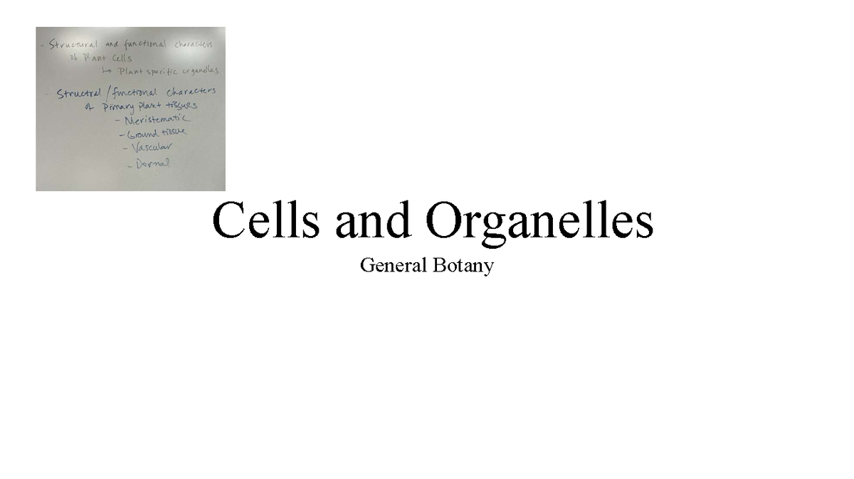 Cells and Organelles: Understanding Plant Cell Structure in Botany ...