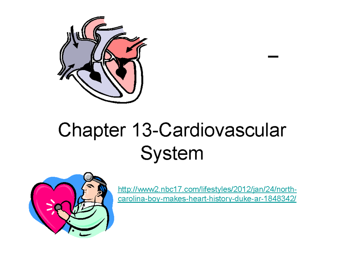 Cardiovascular System Overview: Heart Structure and Function - Chapter ...