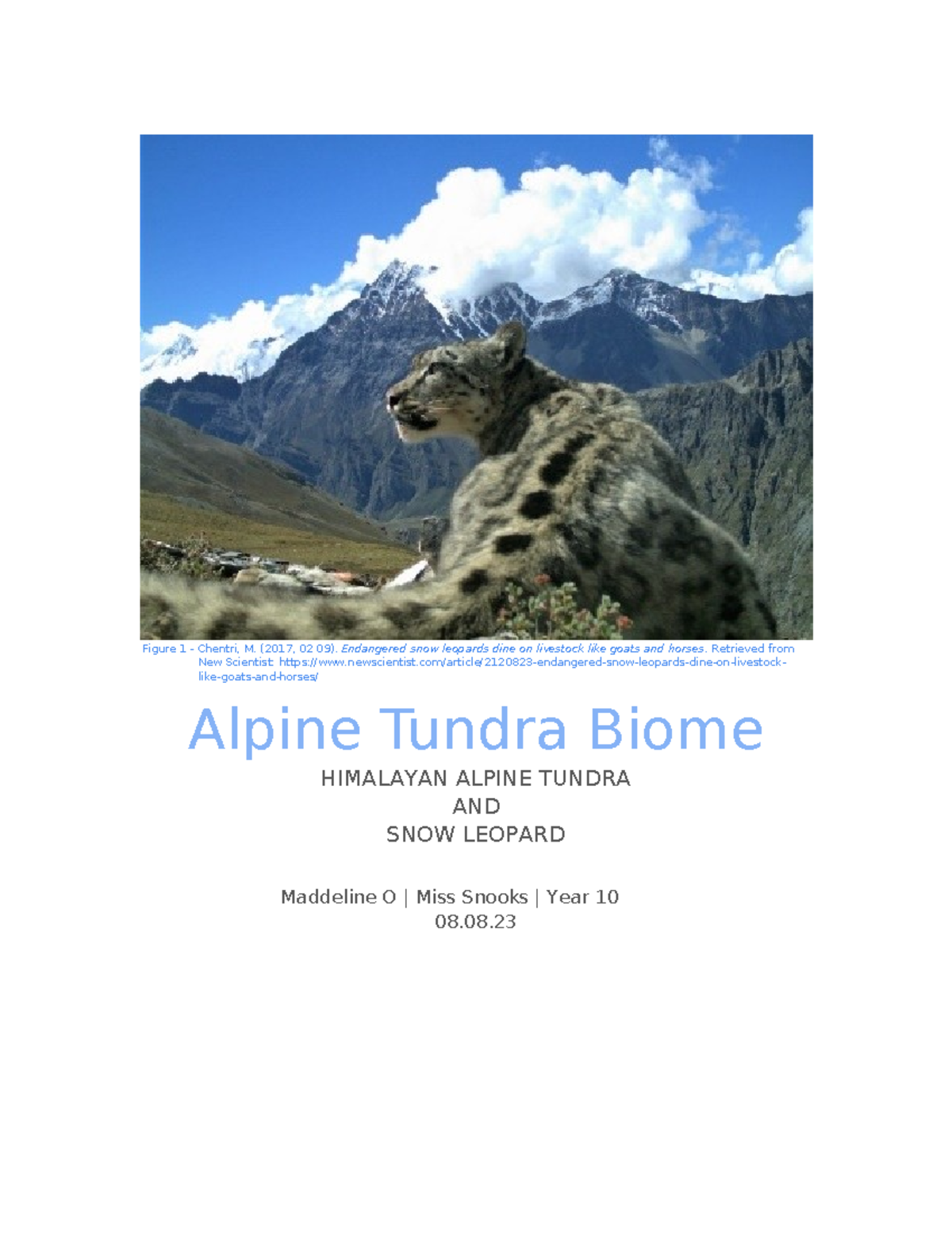 Maddeline O'Donnell - Alpine Tundra Data Report Final - Alpine Tundra ...