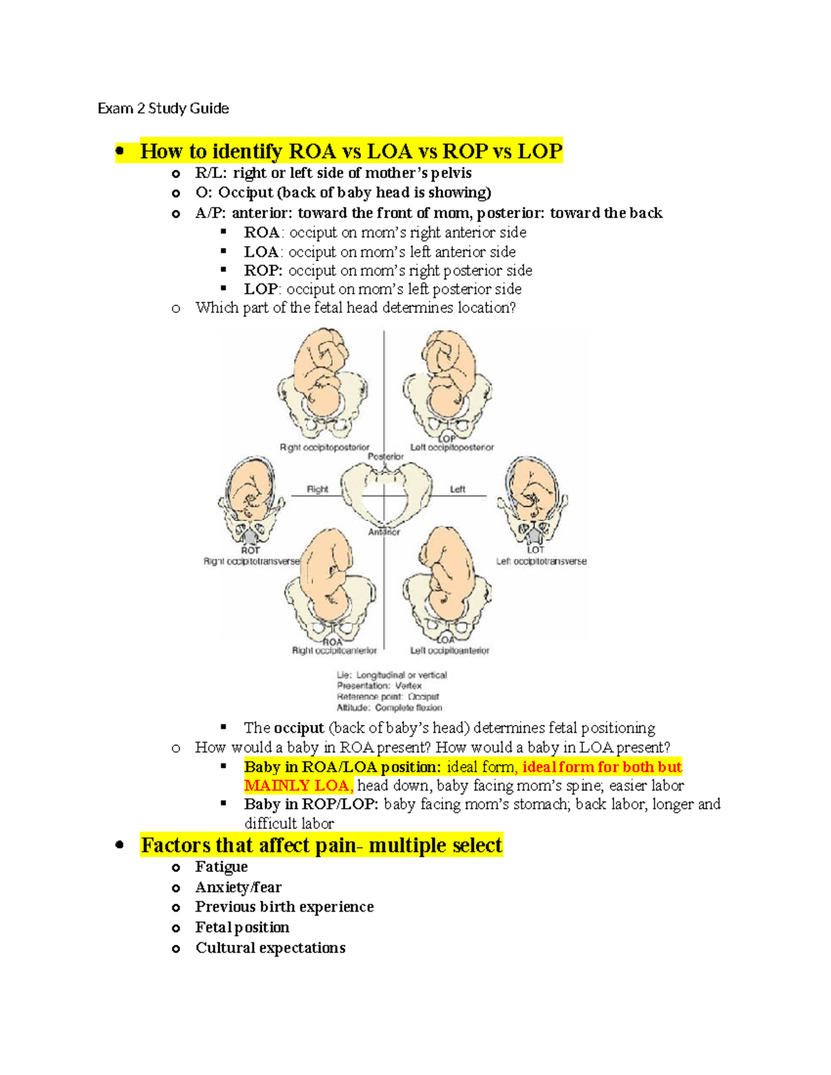 NUR 224 Exam 2 Study Guide: Fetal Positioning & EFM Patterns - Studocu