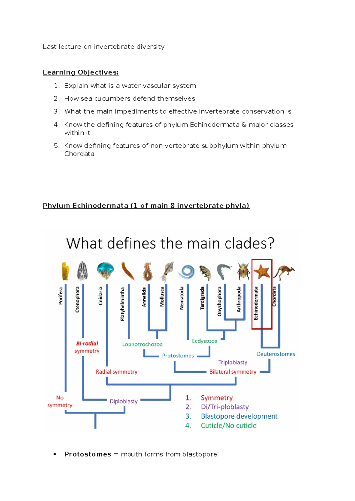Biol2021: Week 4 Lecture on Invertebrate Diversity and Conservation ...