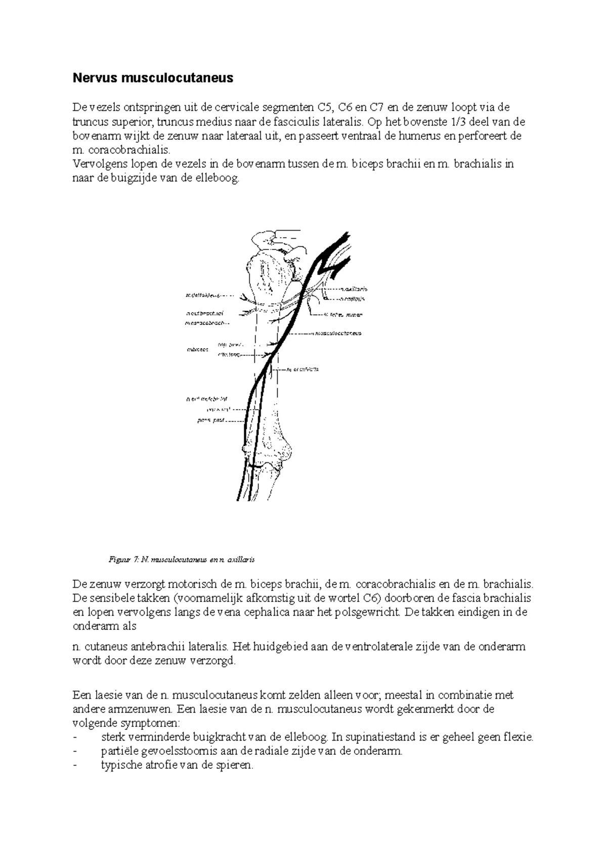 Anatomie schema heupspieren - Heup- en bilspieren Spier Oorsprong ...