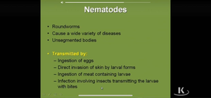 Chapter 4 - Module 5 - Process-Oriented Performance-Based Assessment - Chapter 4 - Performance ...