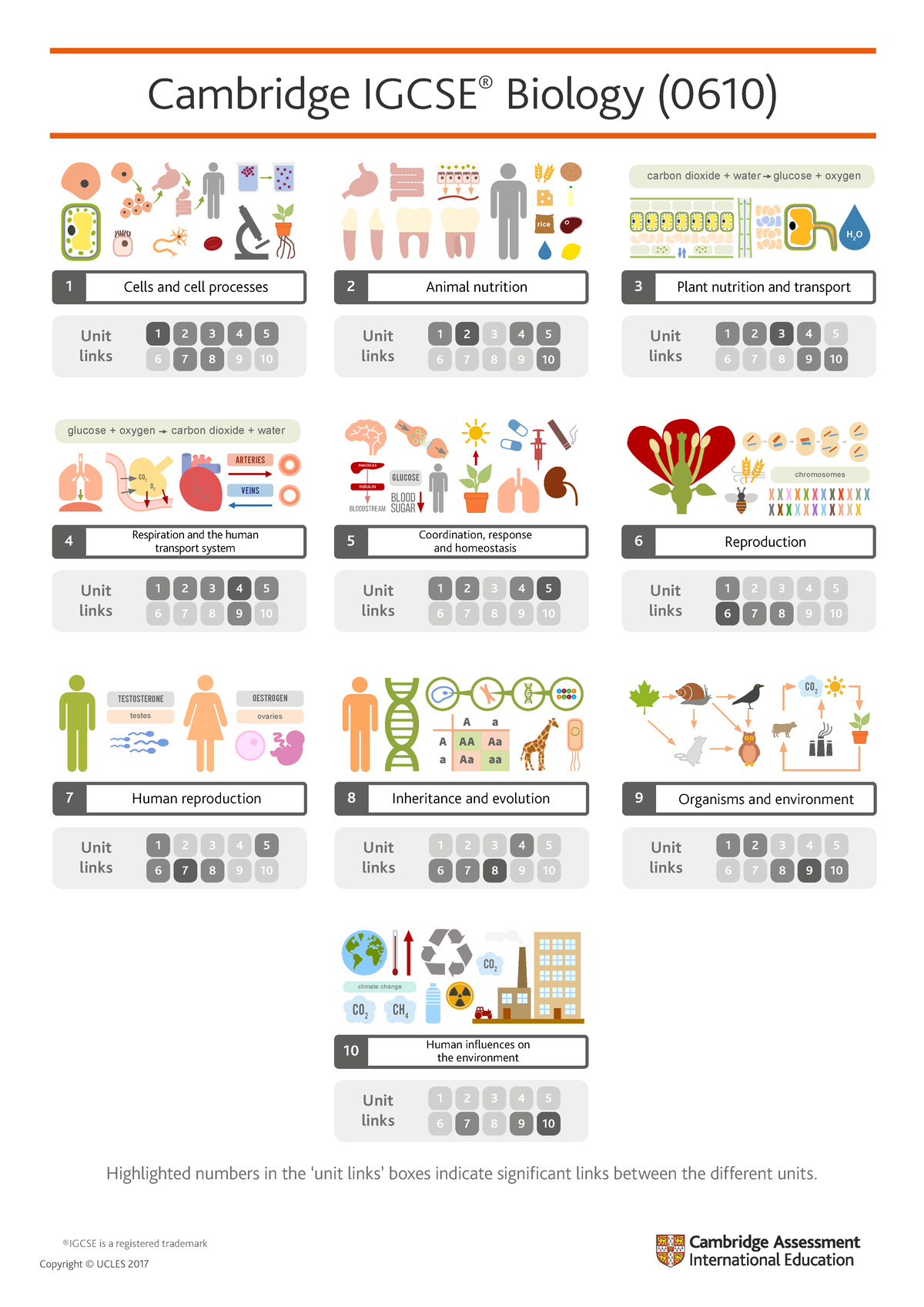 Cambridge Biology (0610) Topic Connections: Cells, Respiration ...