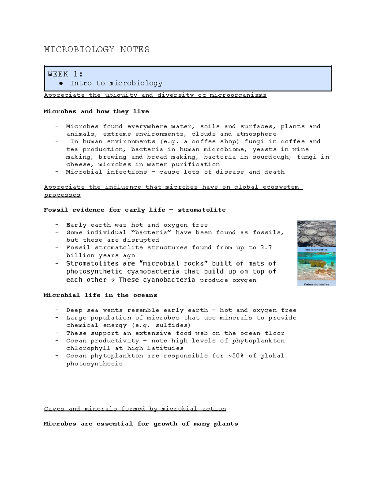 Microbiology 101: Comprehensive Study Notes for Beginners - Studocu