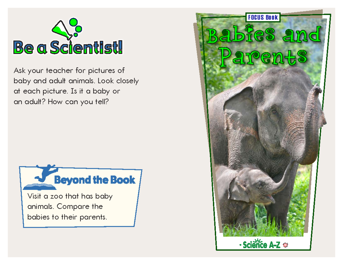 05 - FOCUS Book: Understanding Baby Animals and Their Parents - Studocu