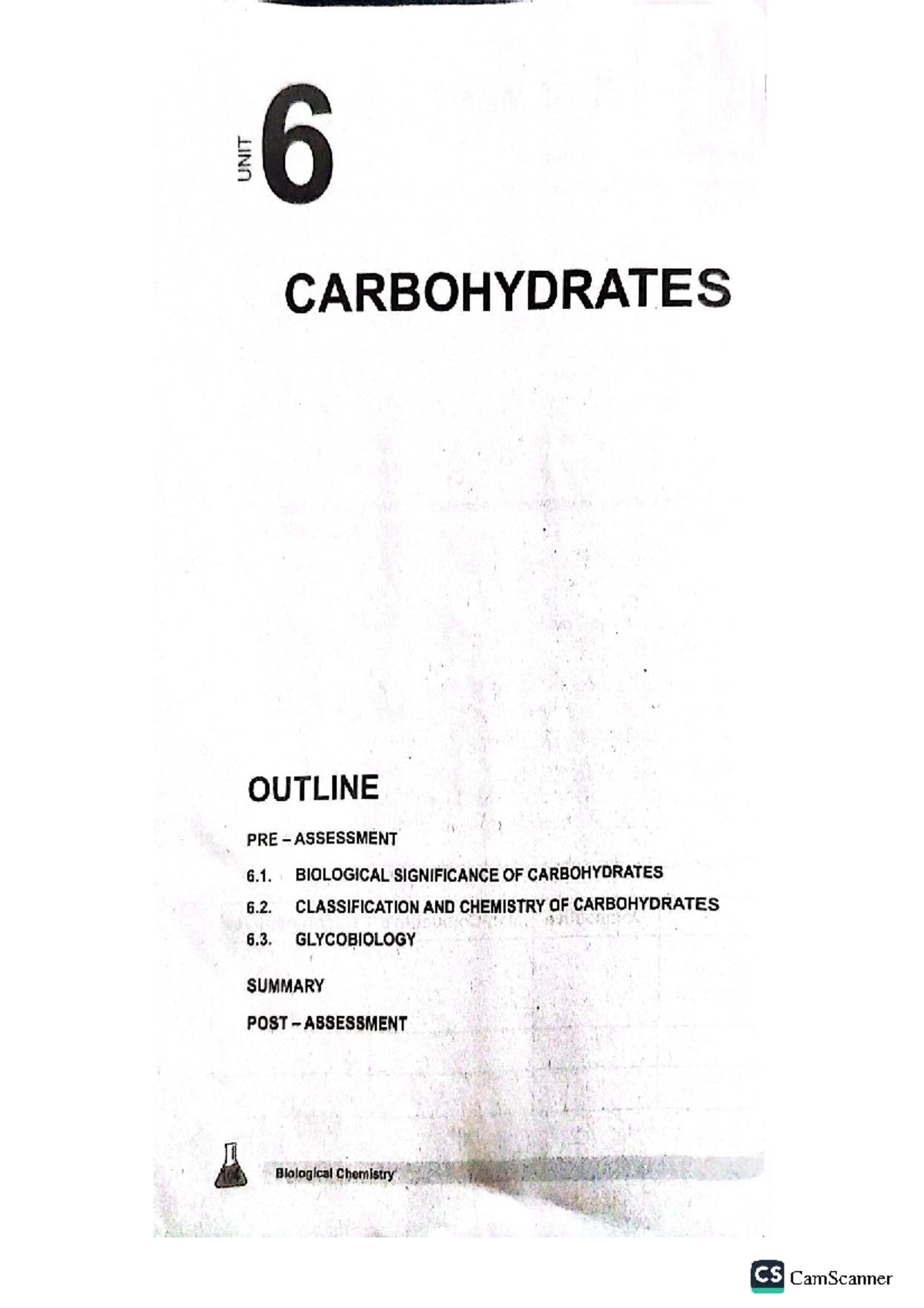 Unit 6: Carbohydrates - Biological Chemistry CS Outline and Assessment ...