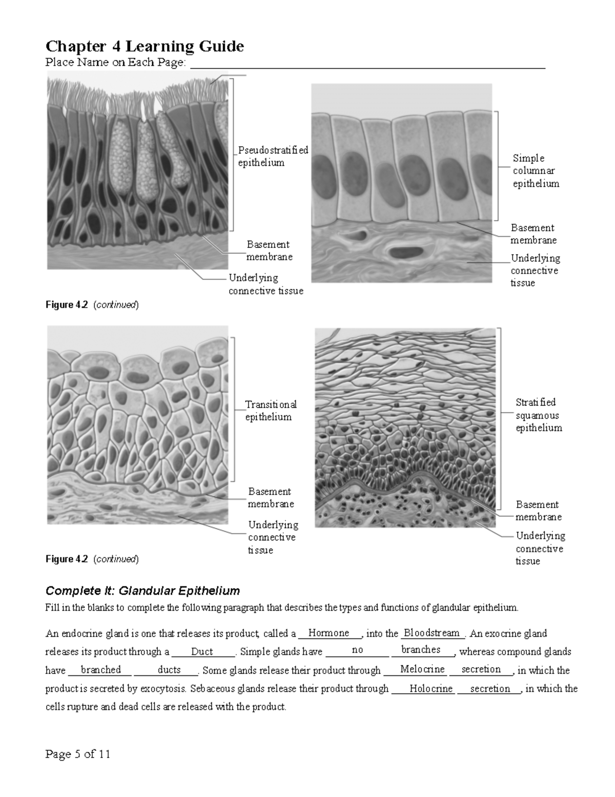 Chapter 4 histology - Chapter 4 Learning Guide Place Name on Each Page ...