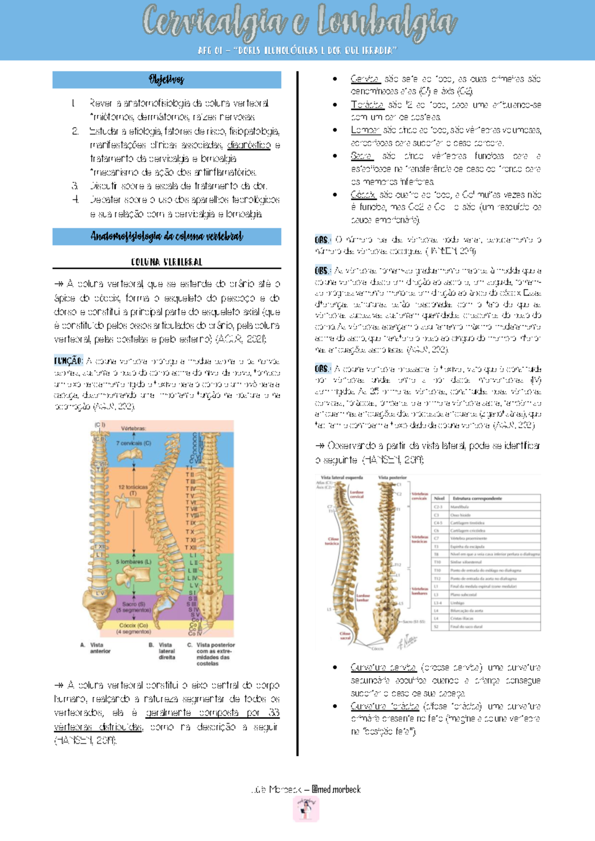 APG 01 - Estudo sobre Cervicalgia e Lombalgia: Causas e Tratamentos ...