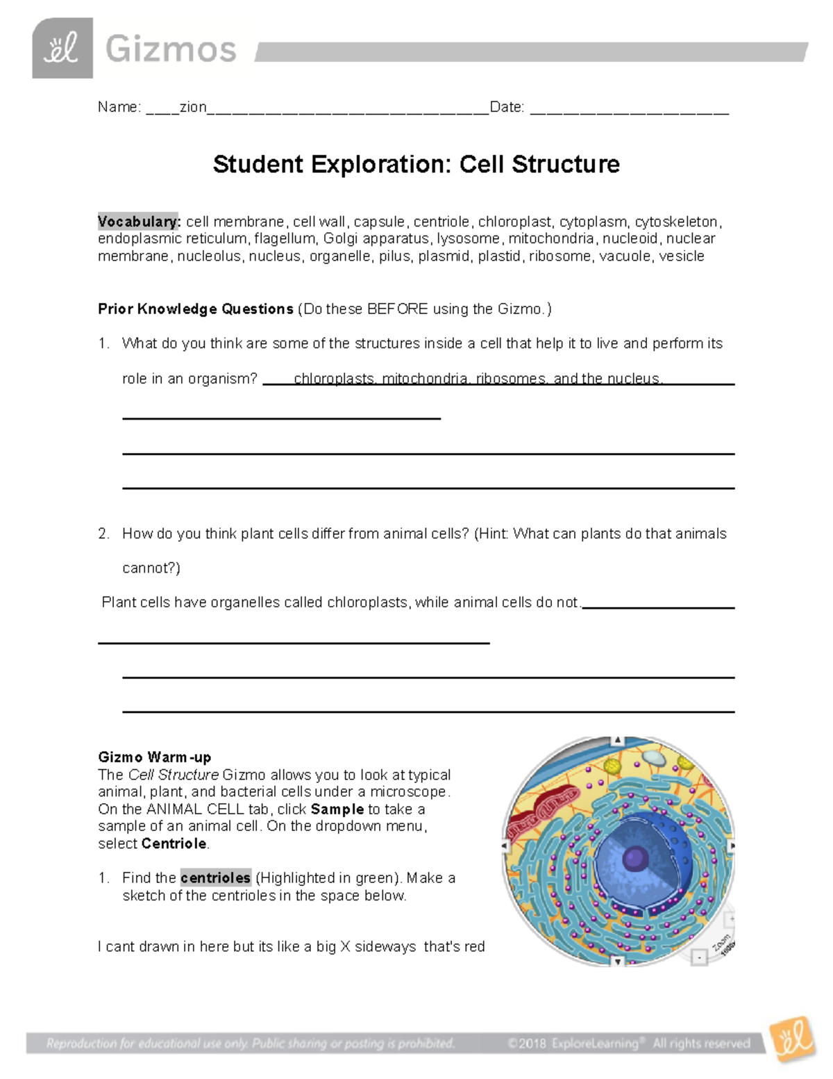 Cell Structure SE-1 - bio worksheet - Name: ____zion ...