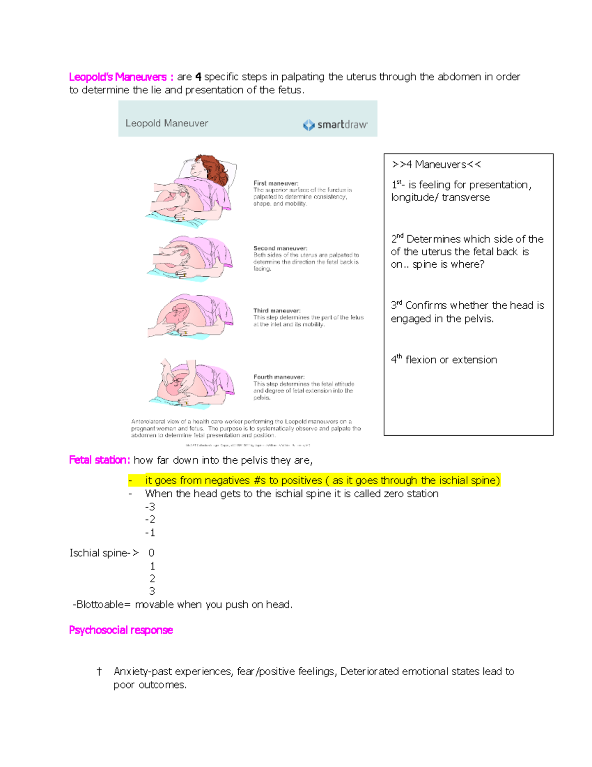 Exam 2 Study Guide: Leopold’s Maneuvers & Labor Management Strategies ...