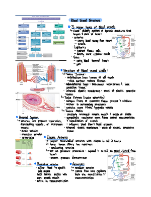 A&P 2 Lab Exam 1 Study Guide - The Endocrine System: Production and ...