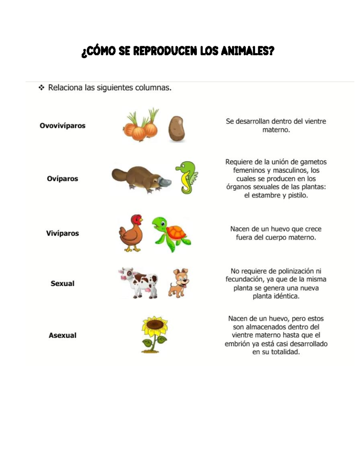 SE REPRODUCEN LOS ANIMALES? - Actividad de Biología - Studocu