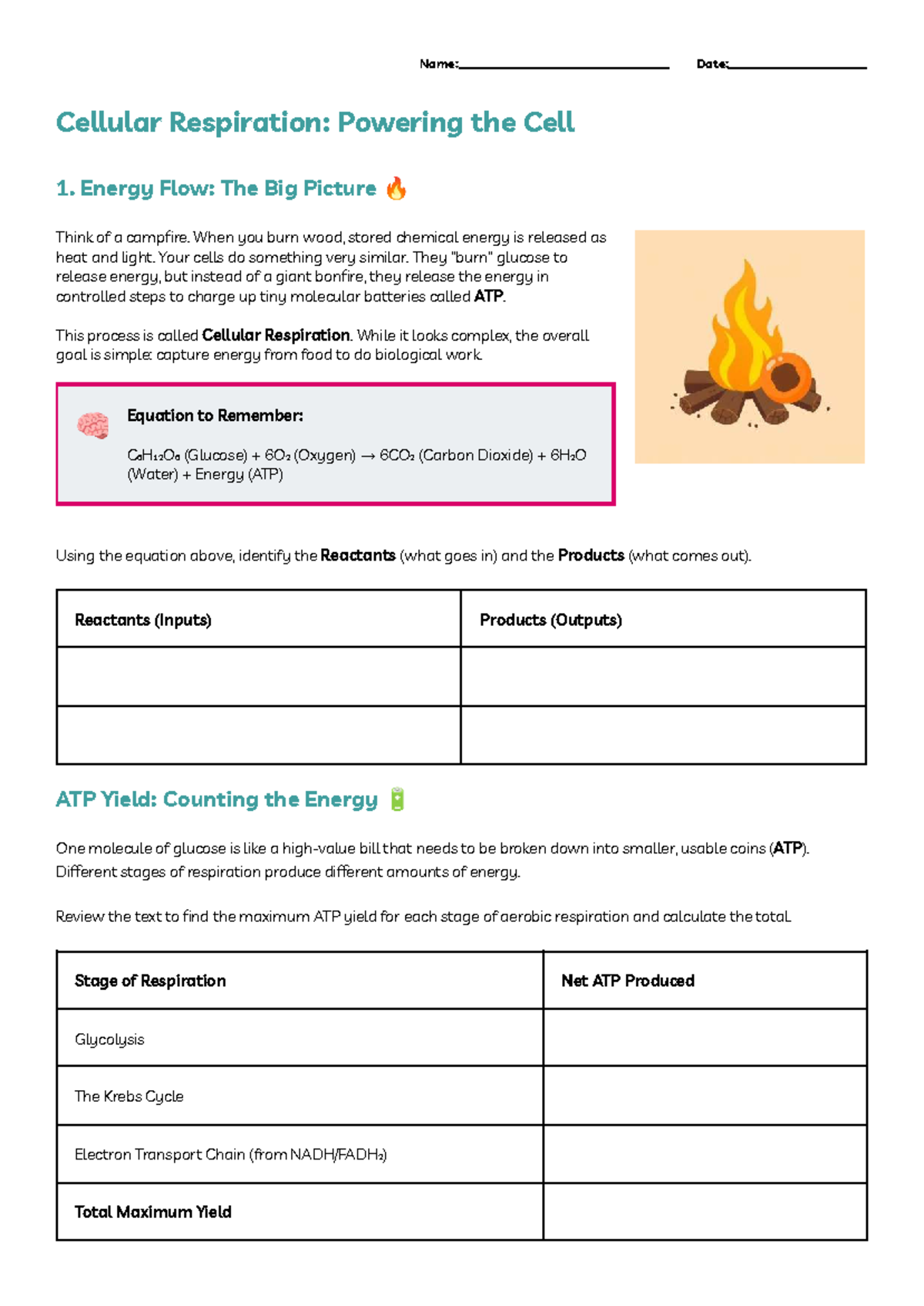 5.9 Cellular Respiration: Understanding Energy Flow and ATP Production ...