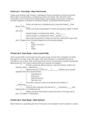 Week 3 lab - week 3 lab - Virtual Lab 1: Case Study – Mary Kate Knowles ...