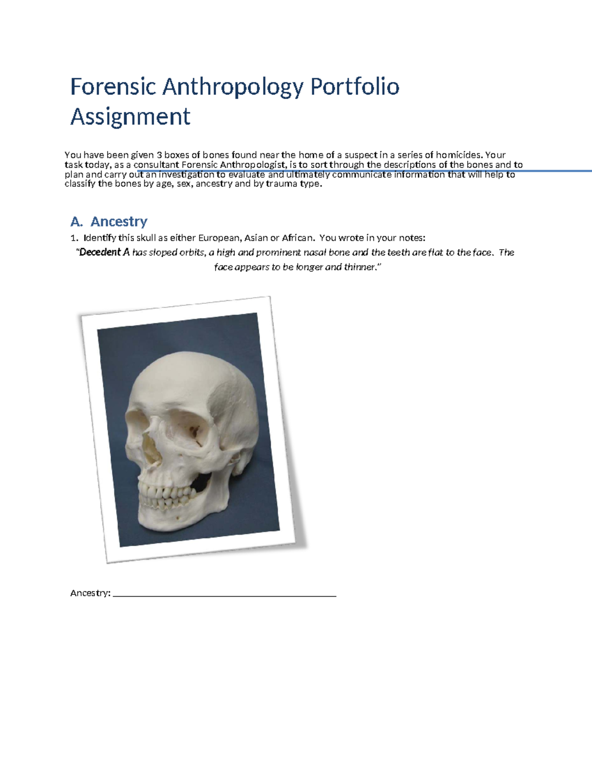 Forensic Anthropology Portfolio Assignment: Bone Analysis ...