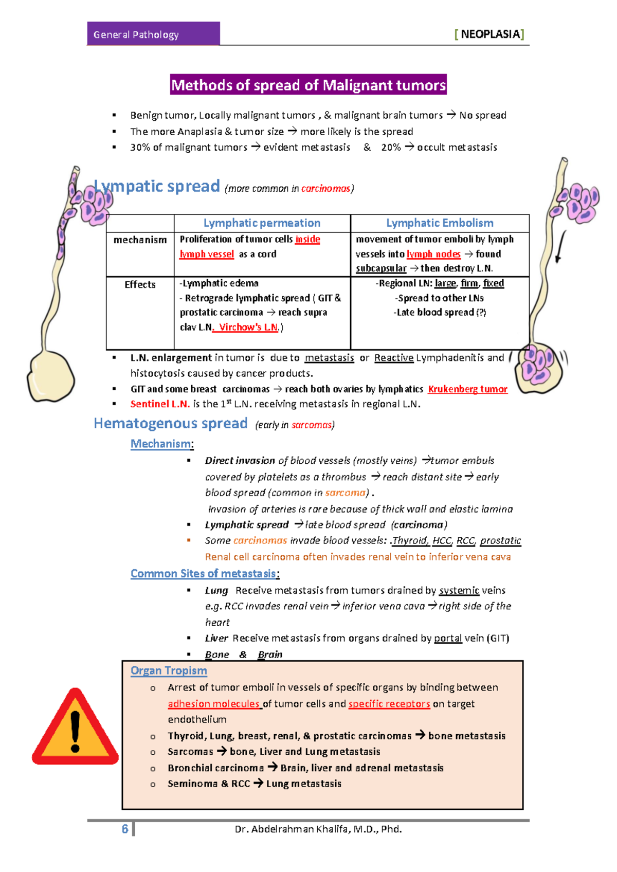 Patho 13 - Spread Mechanisms of Malignant Tumors Explained - Studocu