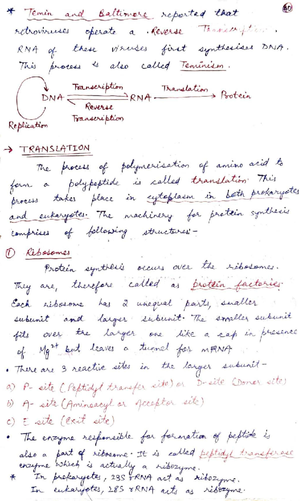 Class 12 Molecular Basis of Inheritance: Key Concepts and Processes ...