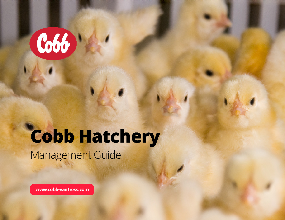 Cobb Hatchery Management Guide: Best Practices for Optimal Hatchability ...