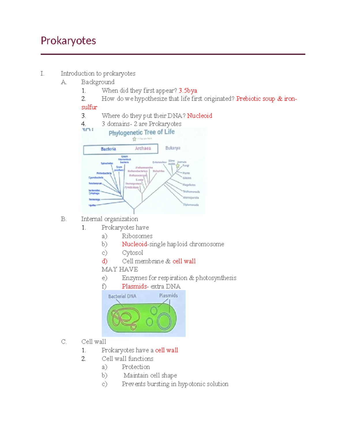 Prokaryotes: Lecture Notes on Structure, Diversity, and Evolution - Studocu