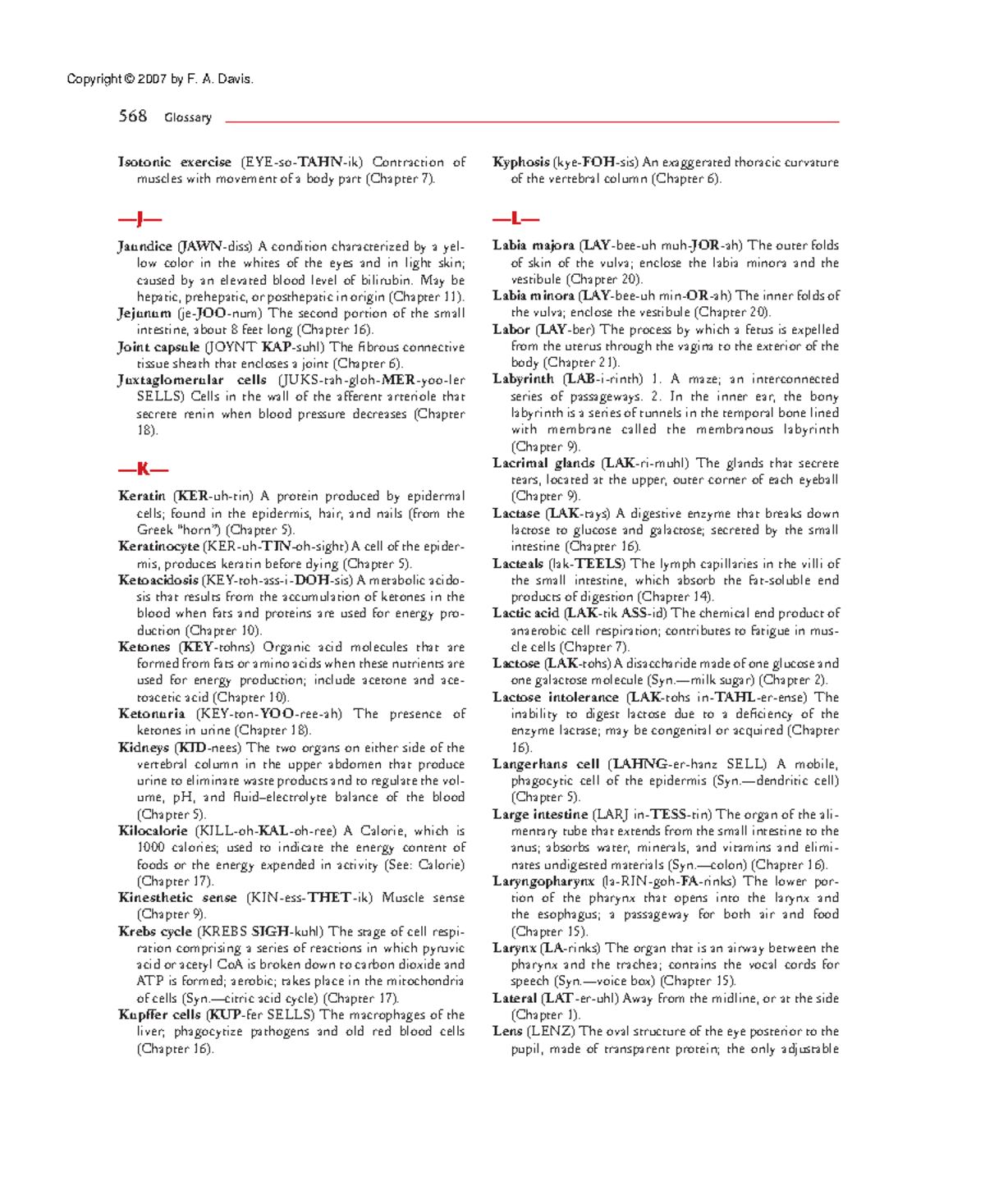 Anaphy 19 - Textbook by Valerie Scanlon and Tina Sanders - 568 Glossary ...