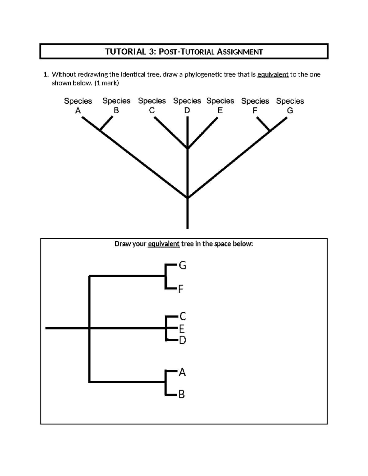 Tutorial 3 Phylogenetic Tree Assignment W25 Studocu