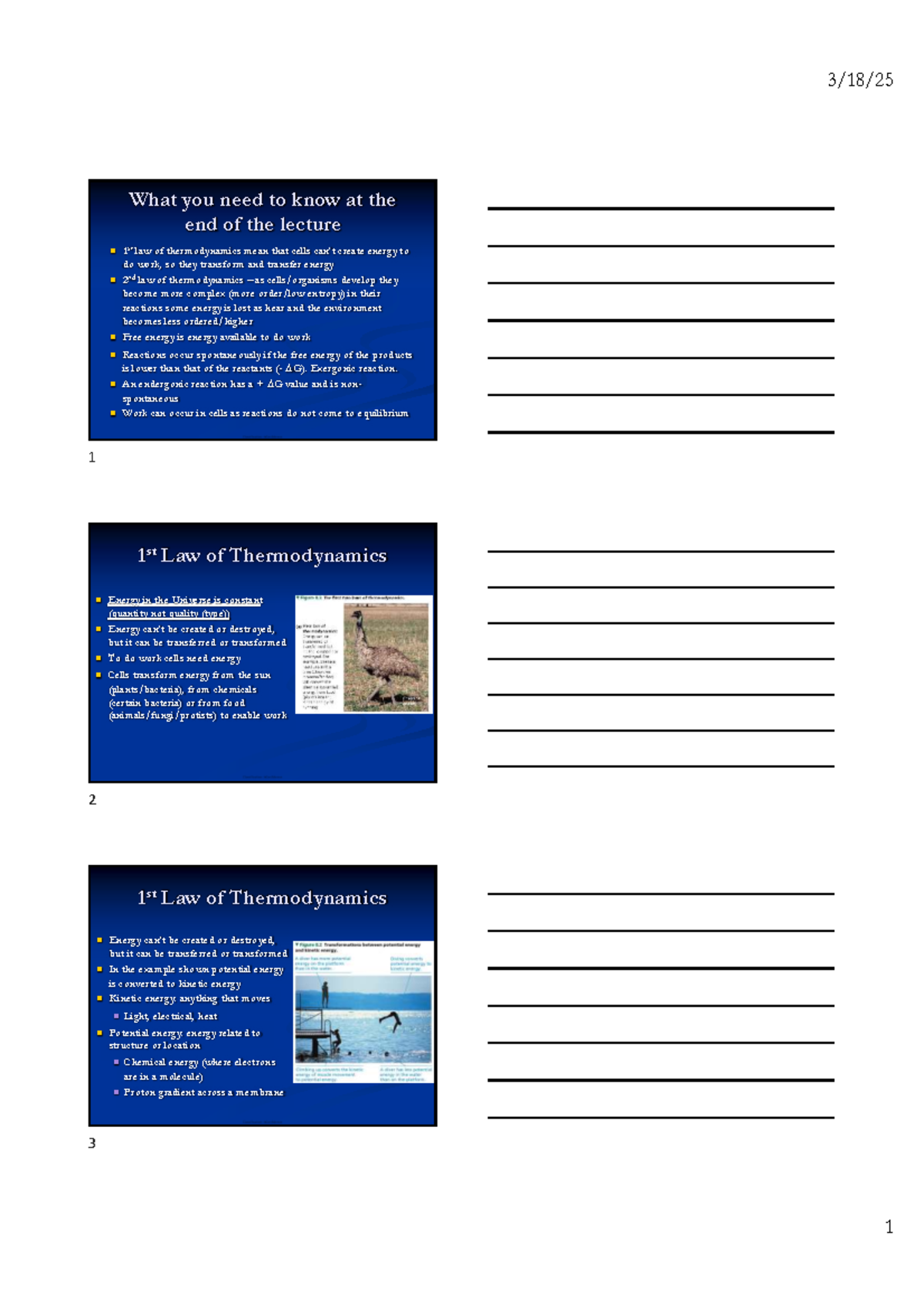 Lecture 2 Notes: Thermodynamics, Energy Transformations, and Free ...