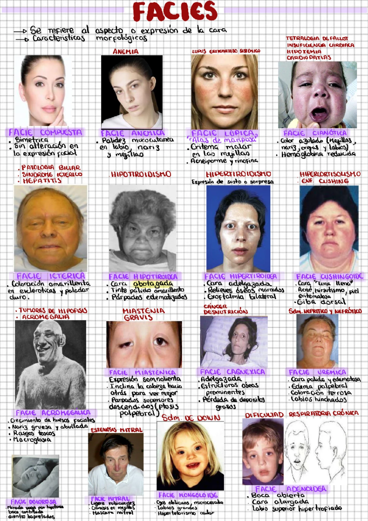 HC Practica - Teoria 21-II - Anamnesis Importante inicial - UNIVERSIDAD ...