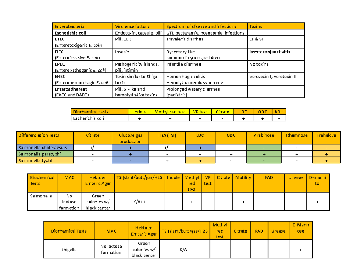 E. coli and Enterobacteria: Virulence Factors & Biochemical Tests - Studocu