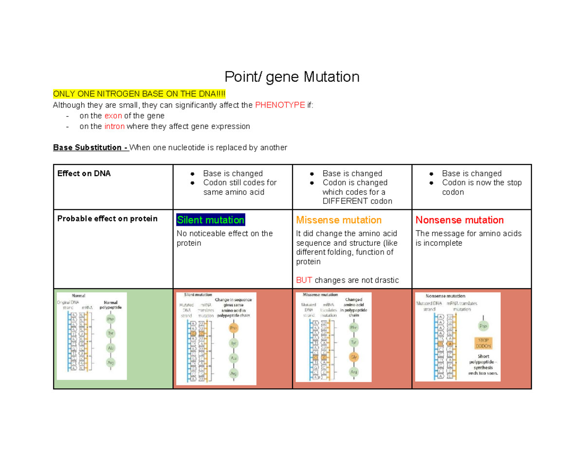 Gene Mutation: Types of Point Mutations and Their Effects - Studocu