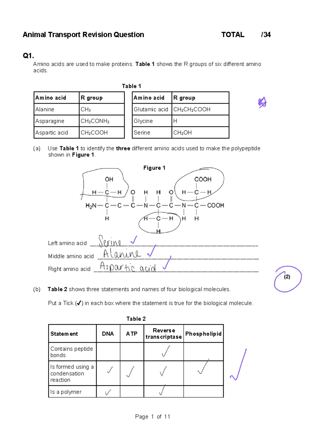 Animal Transport Revision Questions for 34 Marks - Studocu