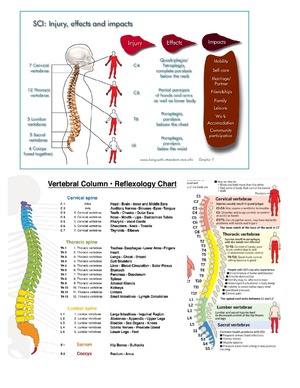 Final-book-pe-removed-watermark-rebujmoved compress - Physical ...