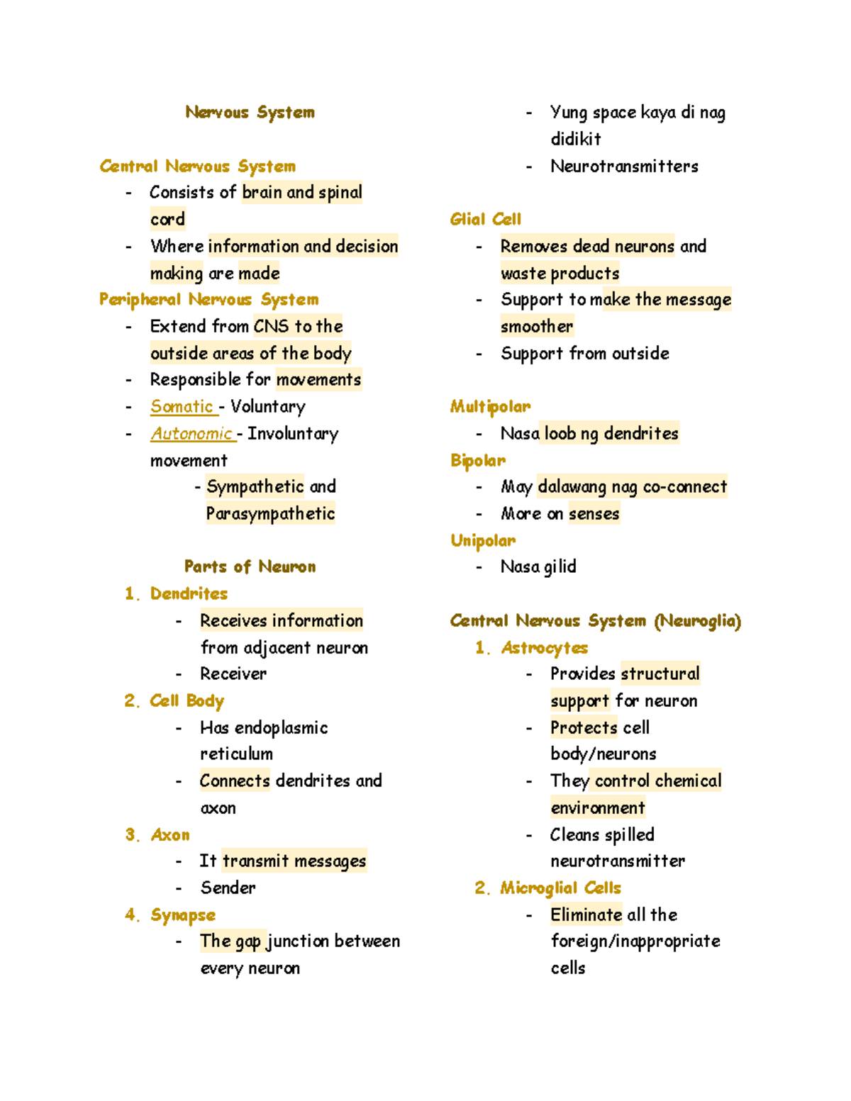 BIO- Psych - reviewer - Nervous System Central Nervous System ...
