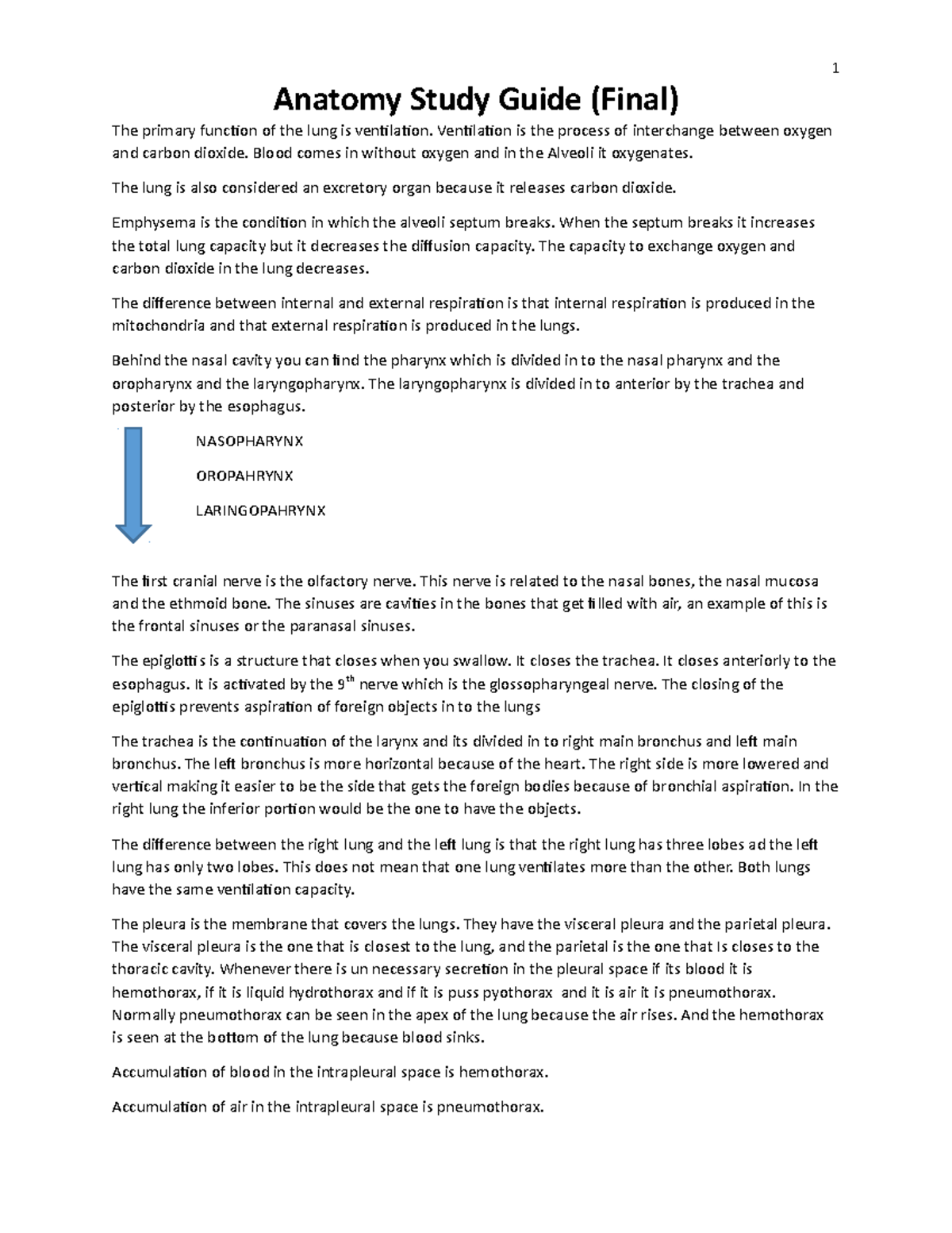 Anatomy Final Exam Study Guide (KAT) - Lecture Notes - Studocu