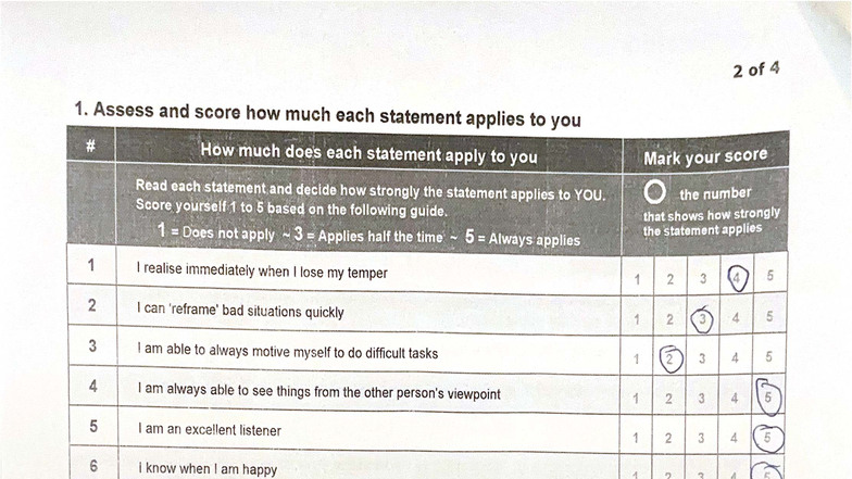 EIQ Questionnaire Example: Self-Awareness Assessment - Studocu